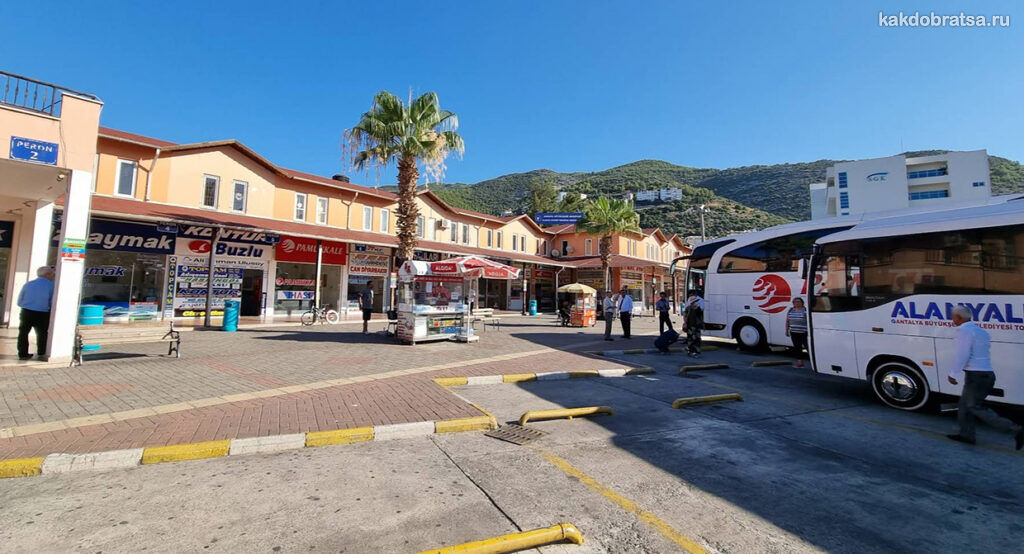 Алания автовокзал - Как добраться?