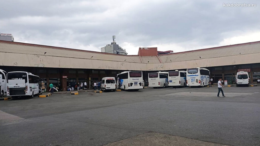 Трабзон автовокзал - Как добраться?